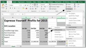 Hiding Columns and Rows in Excel the Easy Way